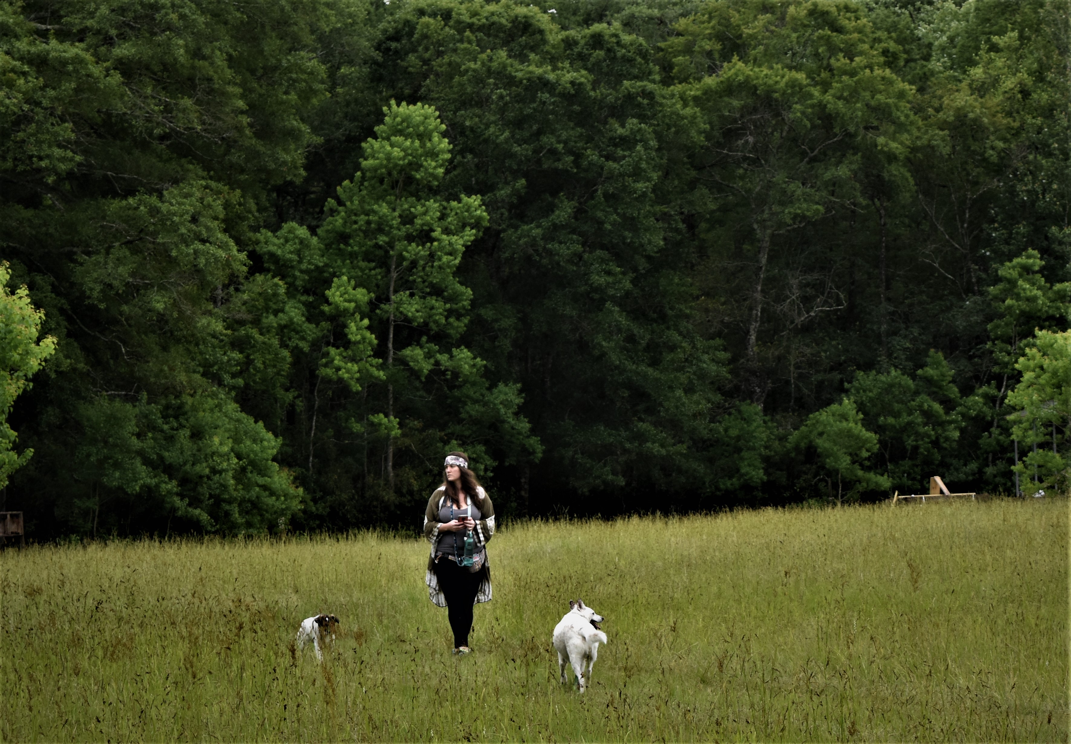 Making Moments during Quarantine – The Roaming Hippies